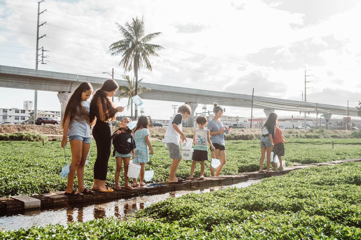 NOURISHING OUR COMMUNITY THROUGH EDUCATION – Sumida Farm